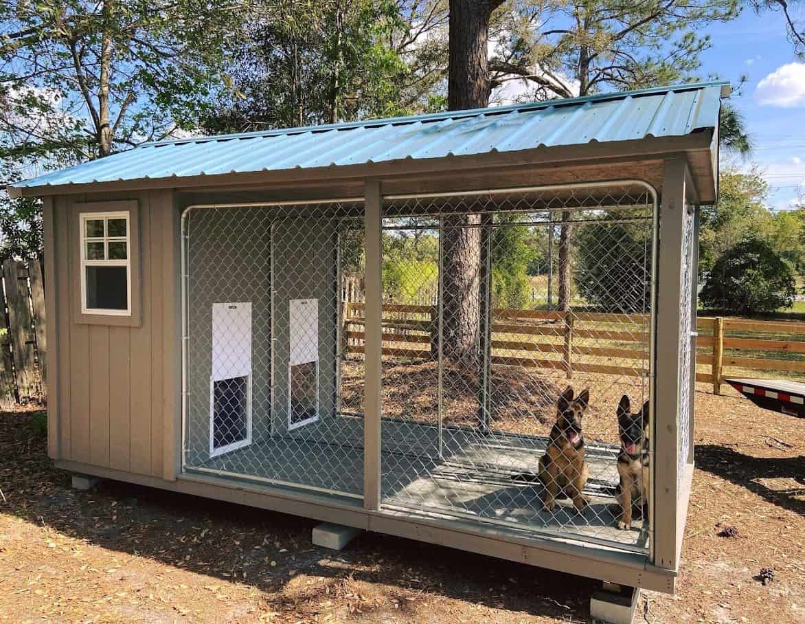 Double Run Dog Kennel - Florida Dog Kennels