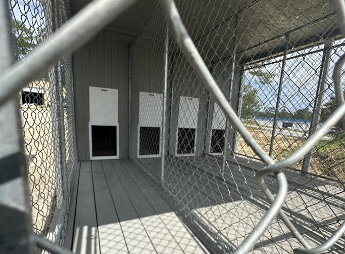 4 Run Dog Kennel - Florida Dog Kennels